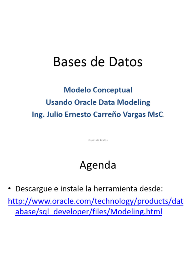 Modelo Conceptual Oracle Data Modeling | PDF | Bases de datos | Informática