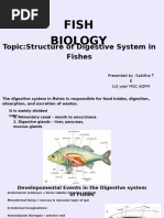 Osteichthyes: Anatomy of Bony Fishes | PDF | Stomach | Gill