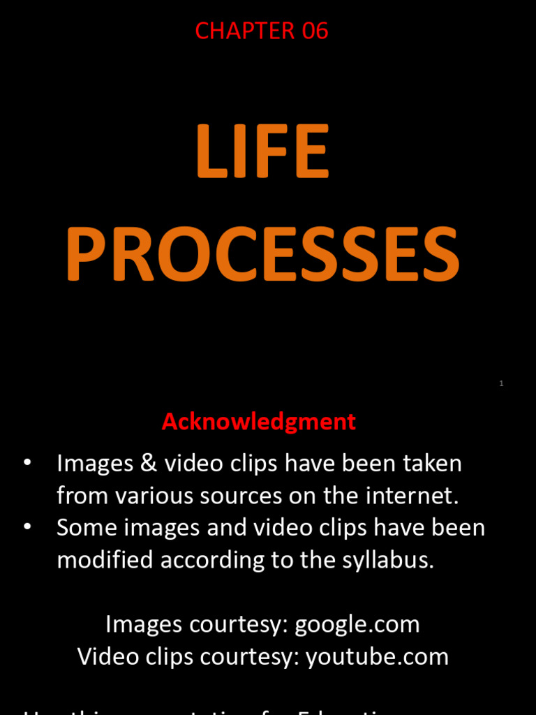 10 Science Chp 06 Life Processes PPT | PDF | Cellular Respiration | Atrium (Heart)