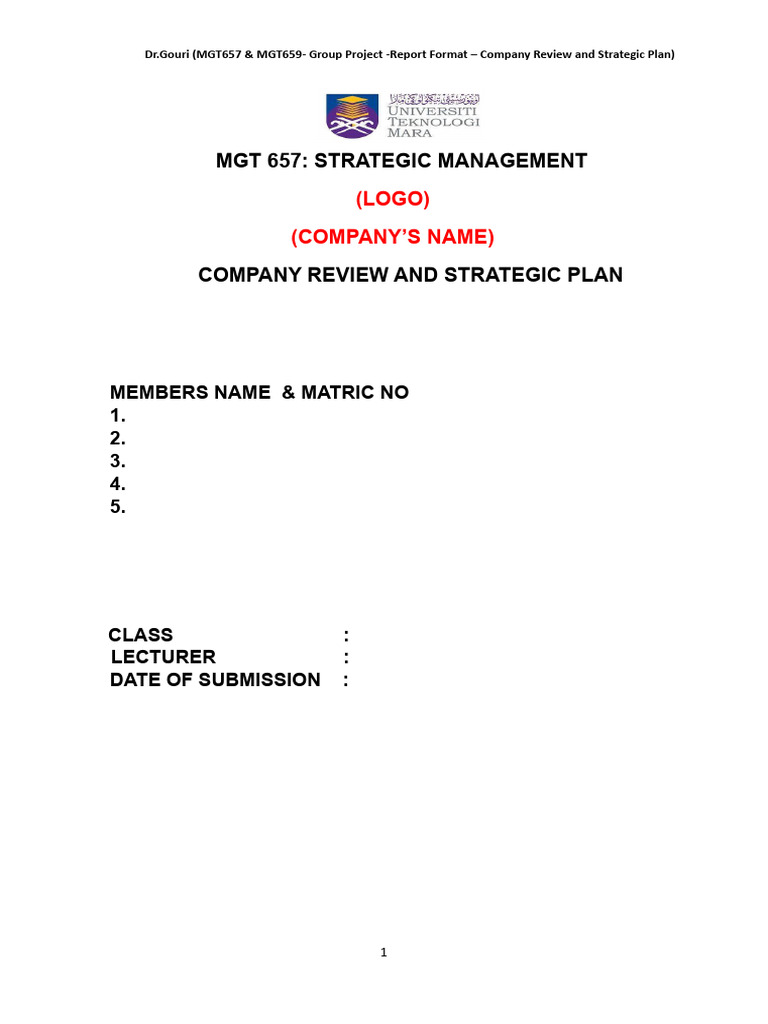 MGT 657&MGT659 - Report Format - Company Review&Strategic Planning ...