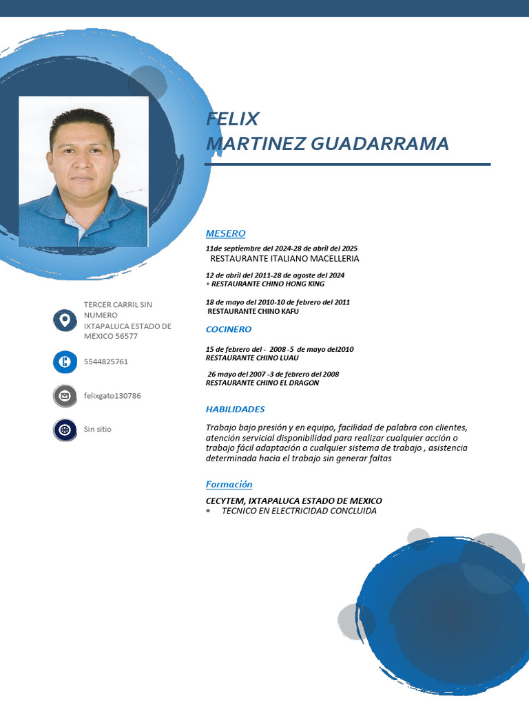 CV Felix Martinez Guadarrama | PDF