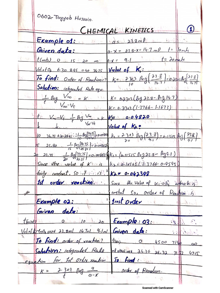 0602 Tayyab Hussain | PDF