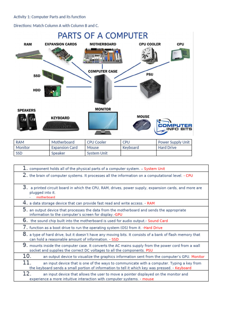 Activity 1 (Parts of Computer) | PDF