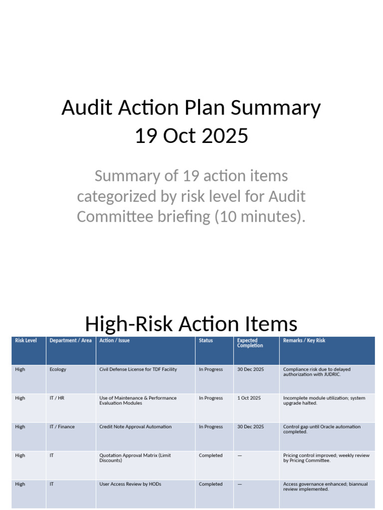 Audit Action Plan 19 Items Summary 19oct2025 | PDF