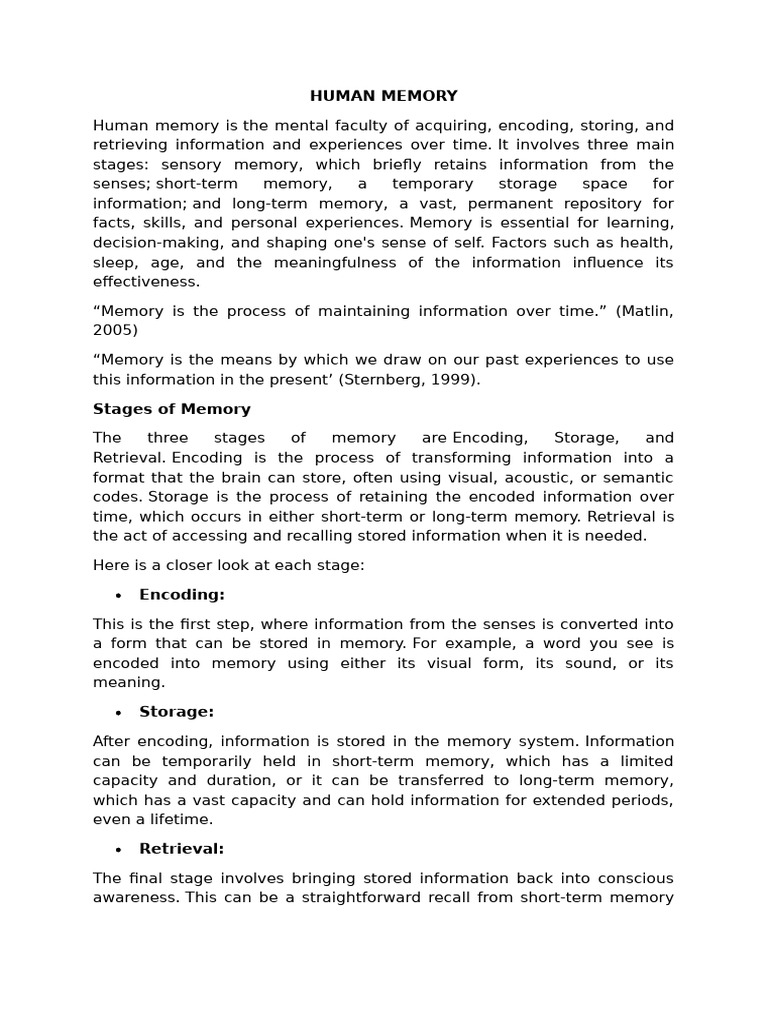 Understanding Human Memory Processes | PDF | Memory | Long Term Memory