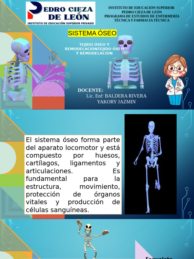 Clase 5 - Sistema Oseo | PDF | Hueso | Esqueleto