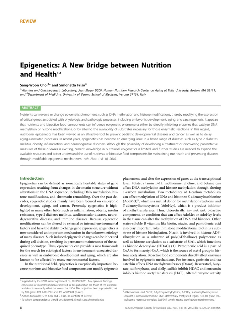 Nutritional Epigenetics and Health | PDF | Epigenetics | Dna Methylation