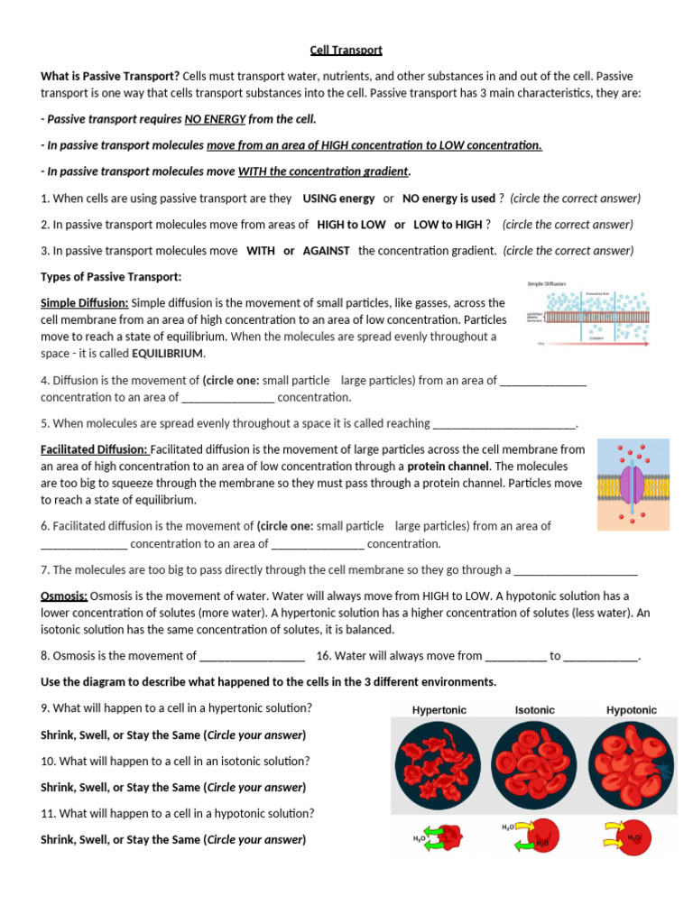 Energy Use in Cell Transport Processes | PDF | Biotechnology | Life ...