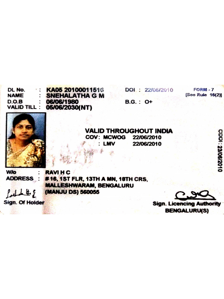 Driving License | PDF