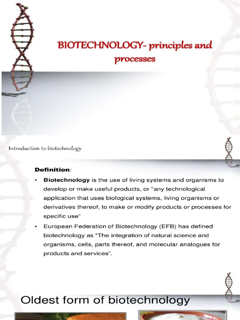 Chapter 11 Biotechnology Principles and Processes | PDF
