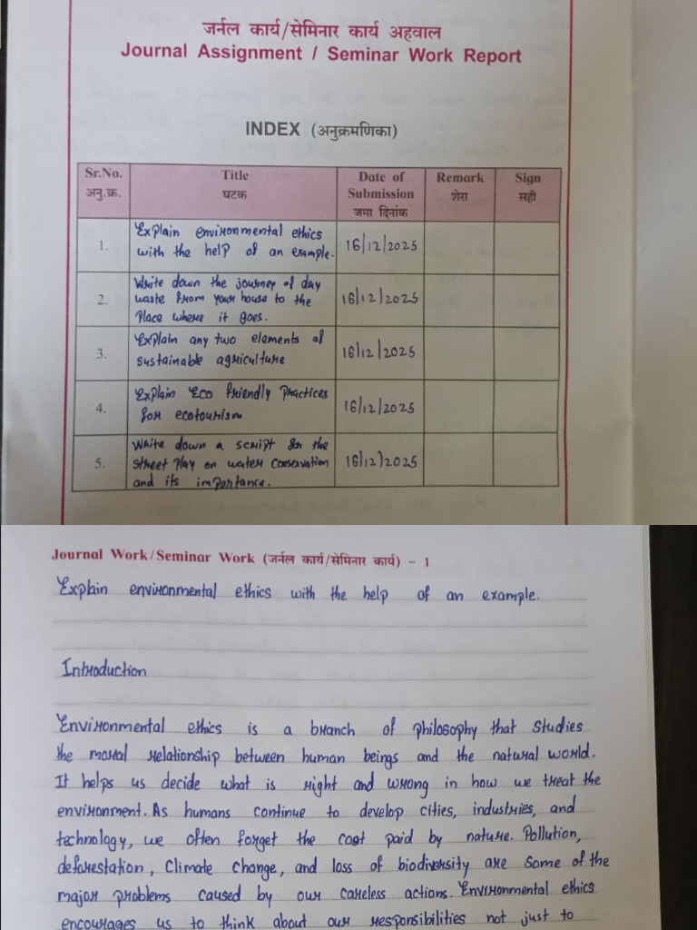 EVS Assignments | PDF