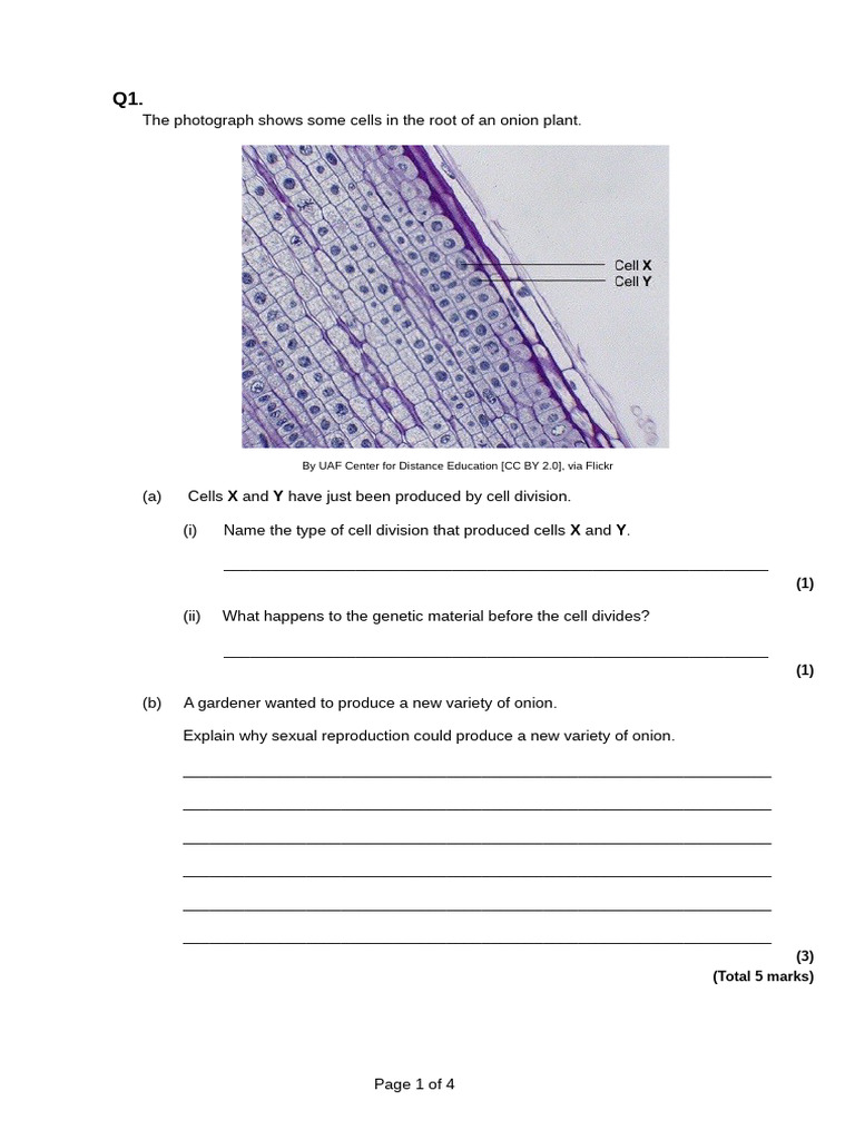 CD-Cell Division, Variation, Mitosis and Sexual Reproduction in Onion ...