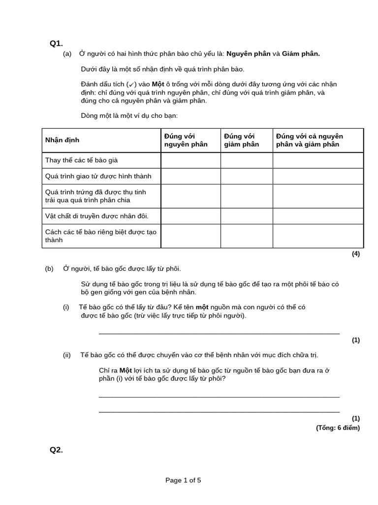 CD- XCell Division, Cell Division Compared Stem Cells, Stem Cell ...