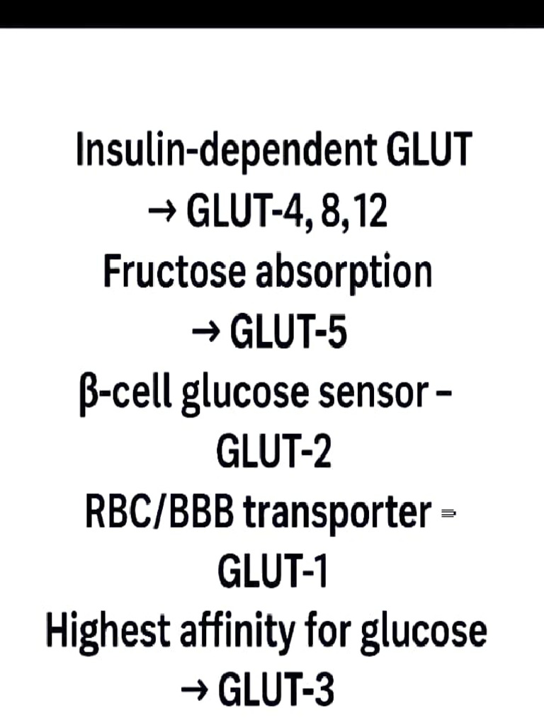 GLUT Transporters Overview | PDF