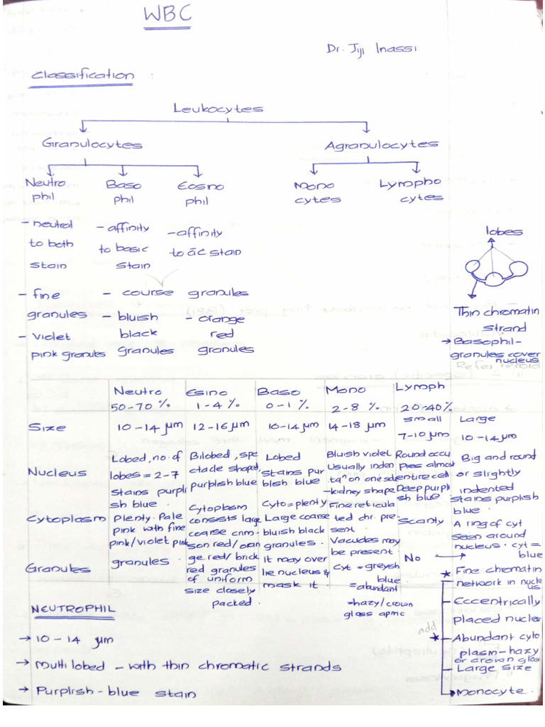 WBC-T Series-1 | PDF