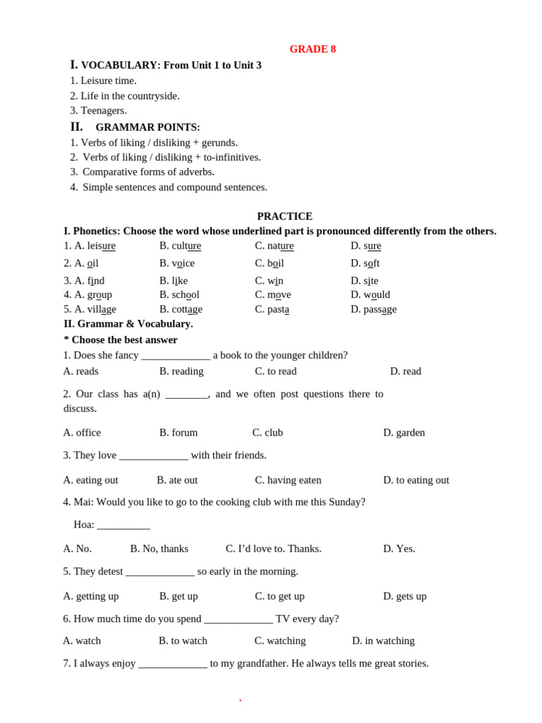 Grade 8 Vocabulary and Grammar Practice | PDF | Adolescence | Internet