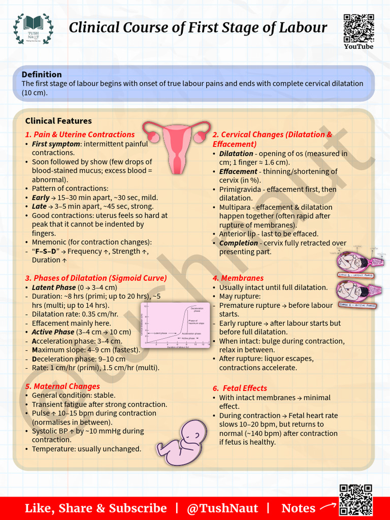 Clinical Course of 1st Stage of Labour | PDF | Childbirth | Medical ...
