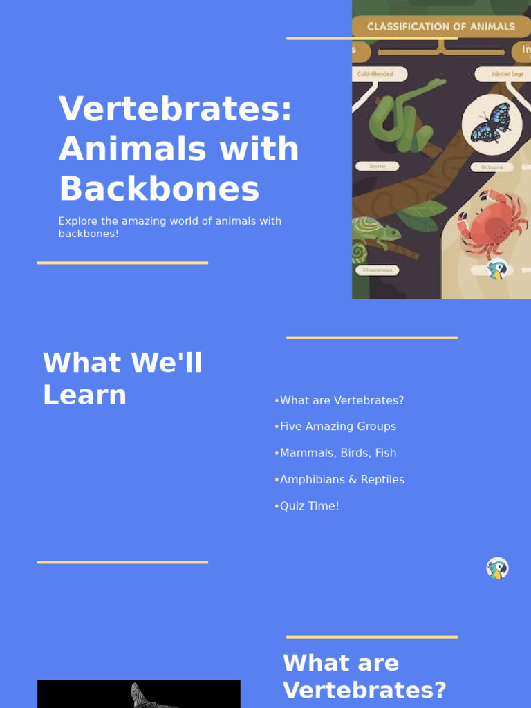 Vertebrates Animals With Backbones | PDF | Amphibian | Reptile