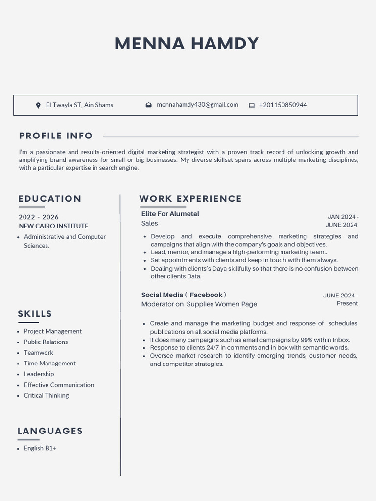Menna's CV | PDF