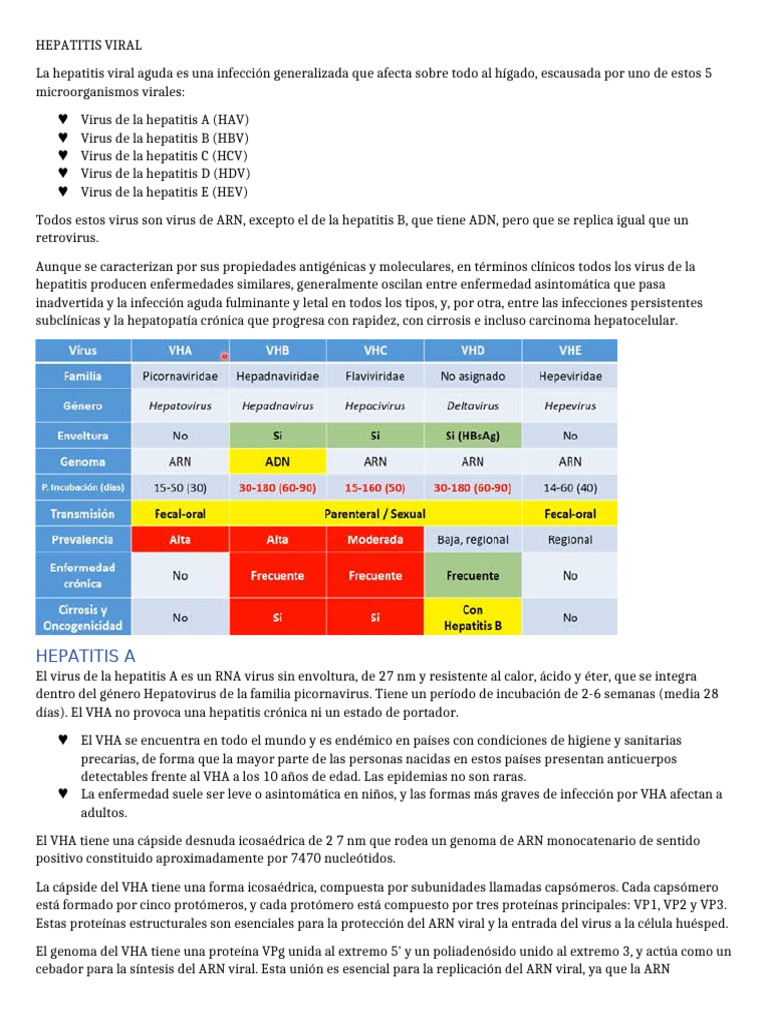 Hepatitis Viral | PDF | Hepatitis | Virus