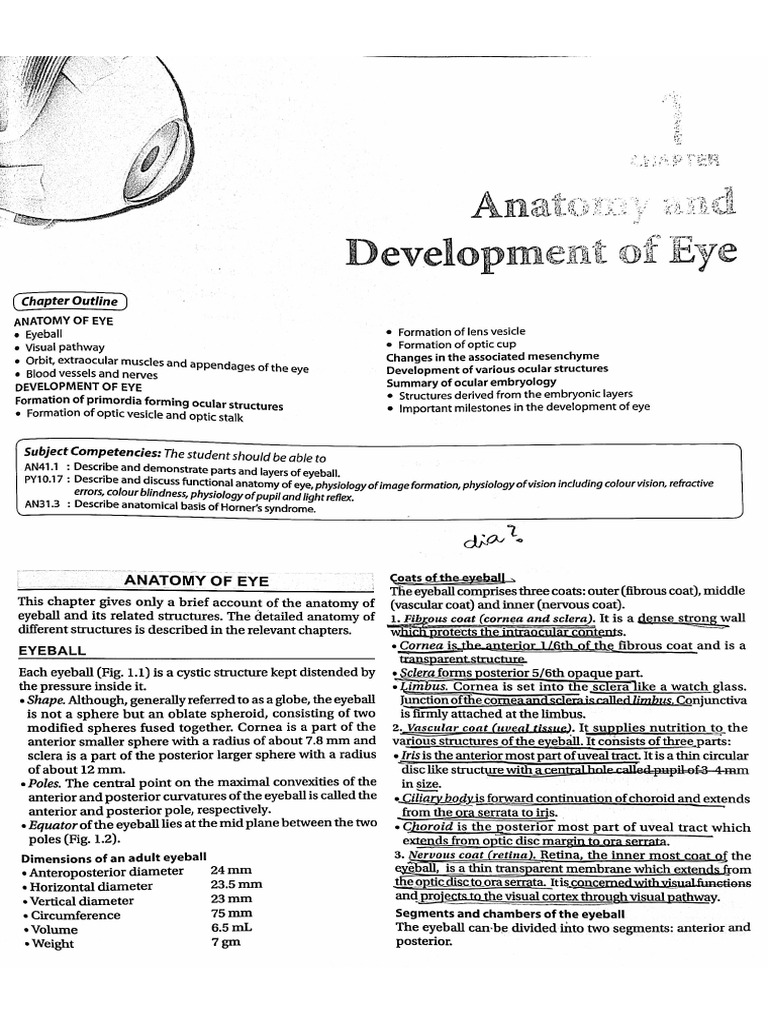 Opthal End Postings | PDF