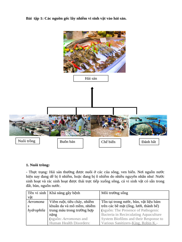 Bài tập 1 vstp | PDF