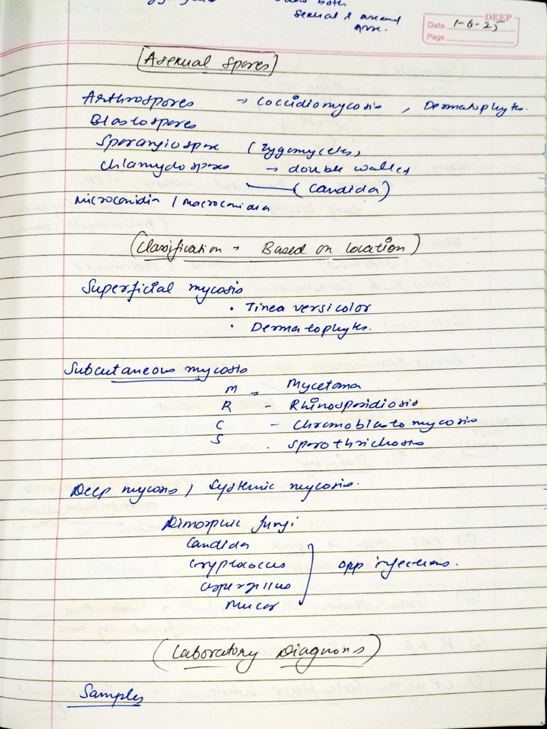 Micro B Notes Part 2 | PDF