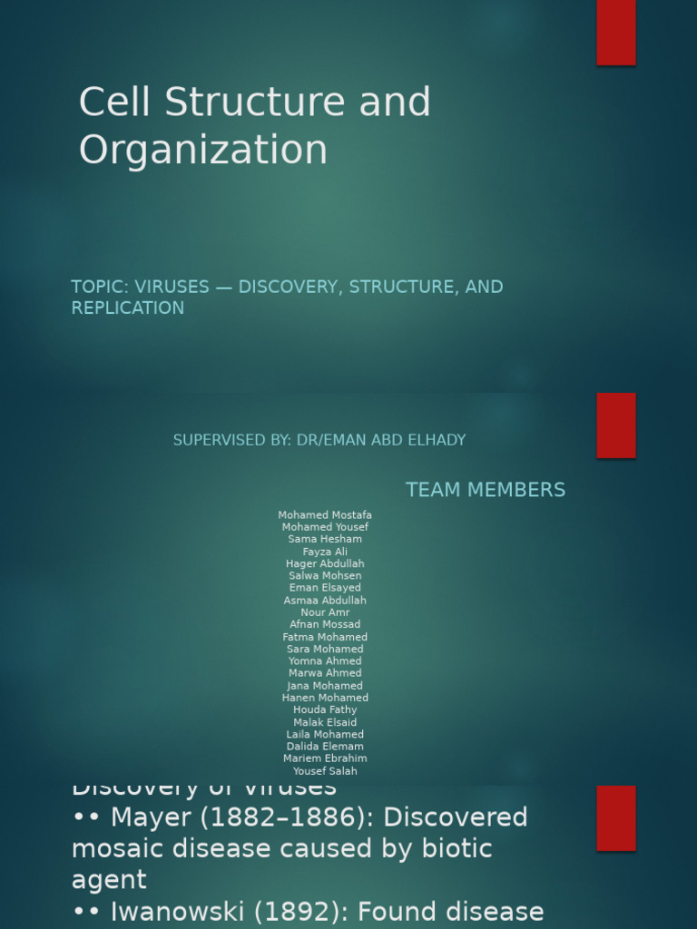 Cell Structure and Organization | PDF | Virus | Bacteriophage
