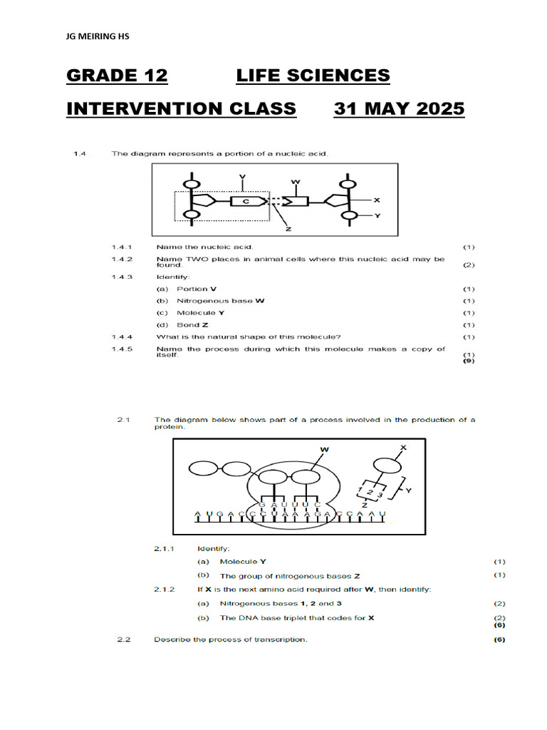 Intervention Class 31may 25 | PDF