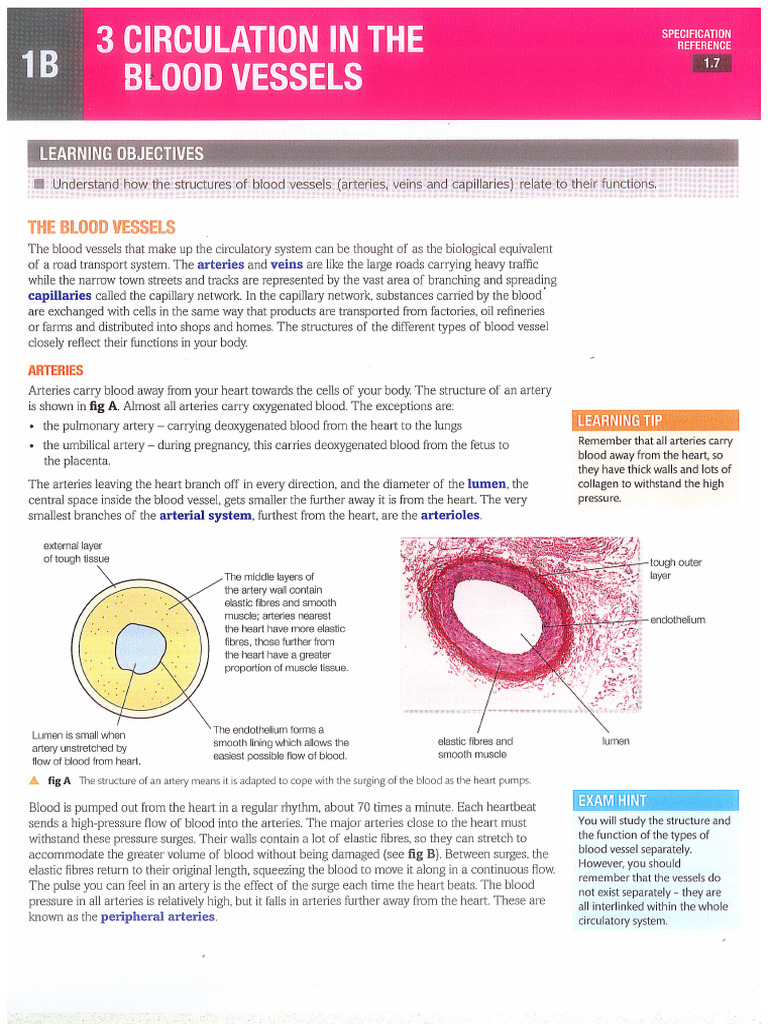 Edexcel International A Level Biology Student Book 1 5 | PDF