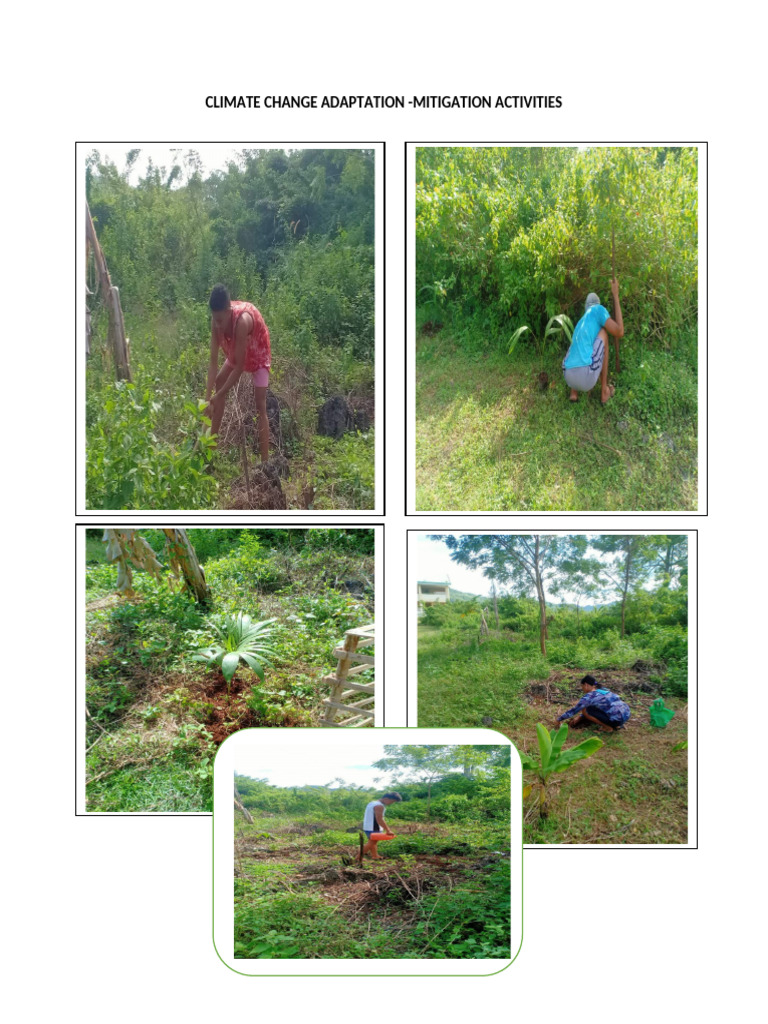 Climate Change Adaptation Mitigation | PDF