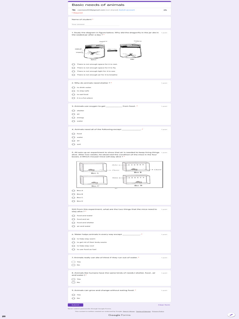 Google Form | PDF | Mouse | Water