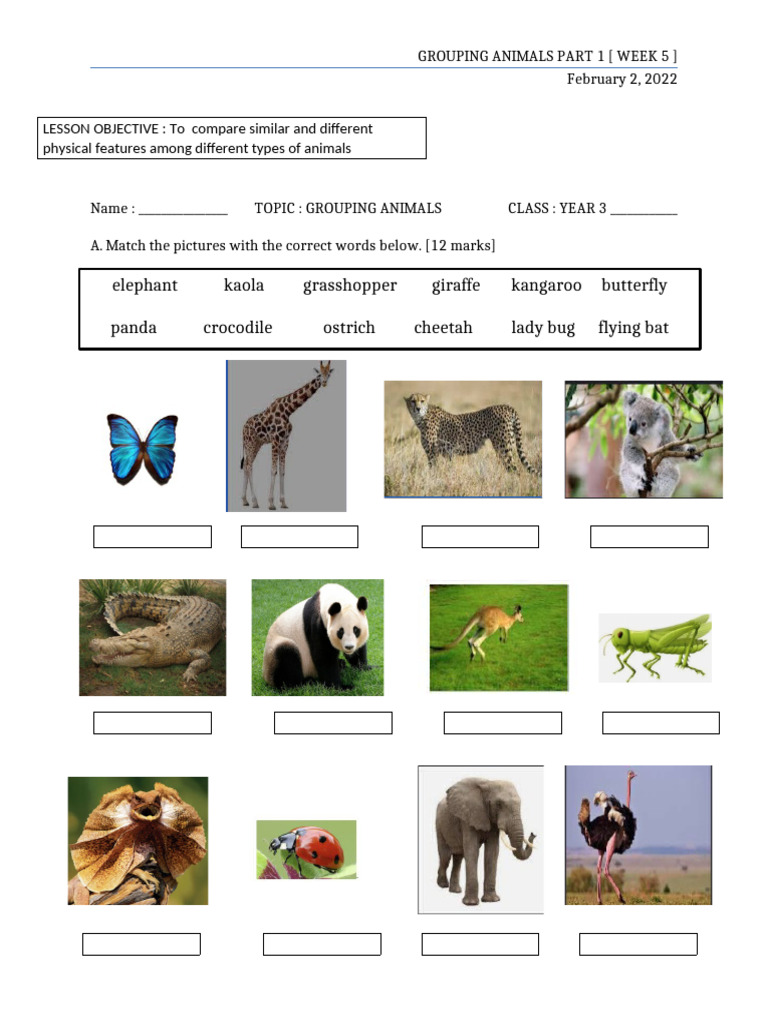 Grouping Animals Part 1 | PDF