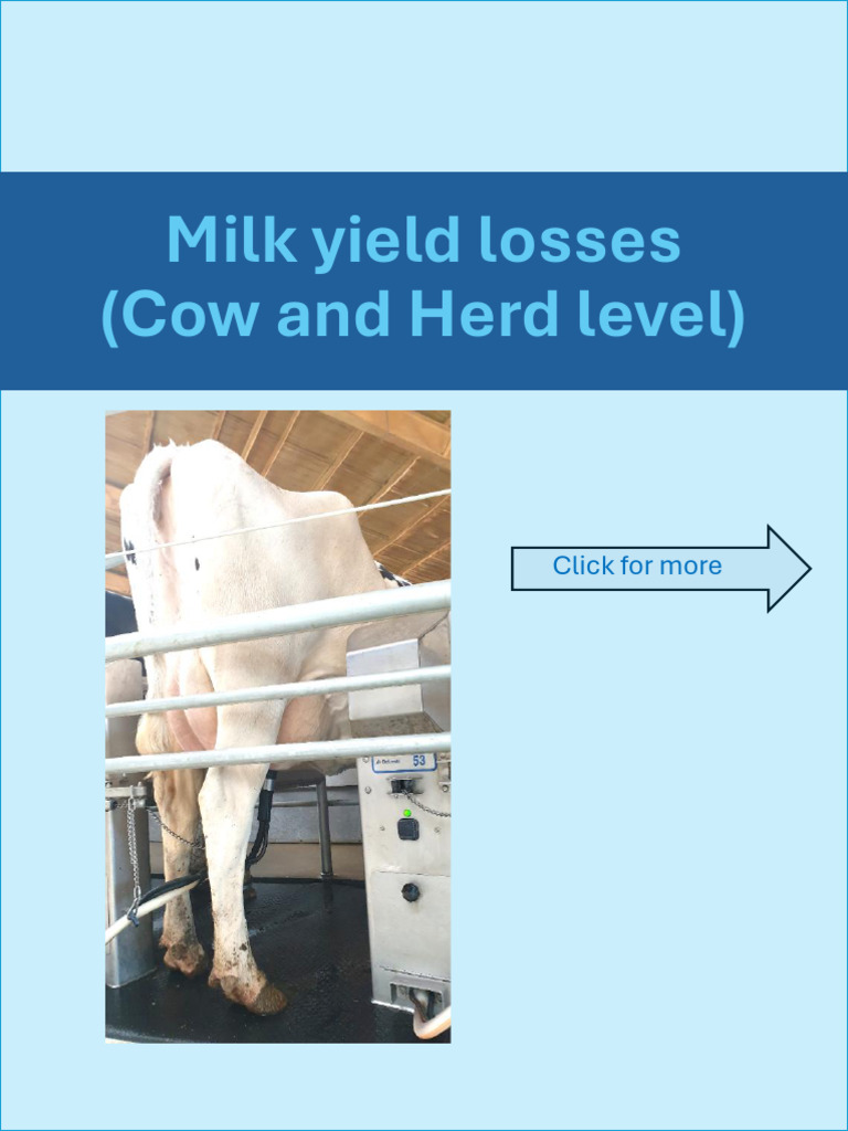 Cow and Herd Level Loss of Milk | PDF