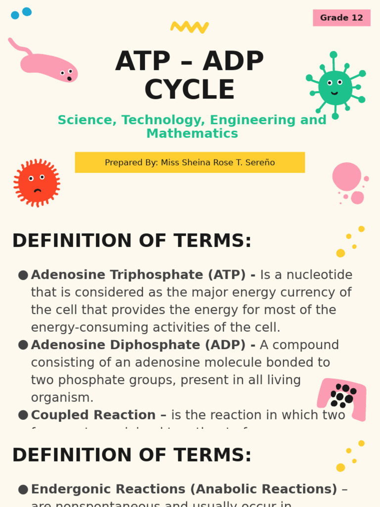 Lesson 1 Atp Adp Cycle | PDF | Adenosine Diphosphate | Adenosine ...