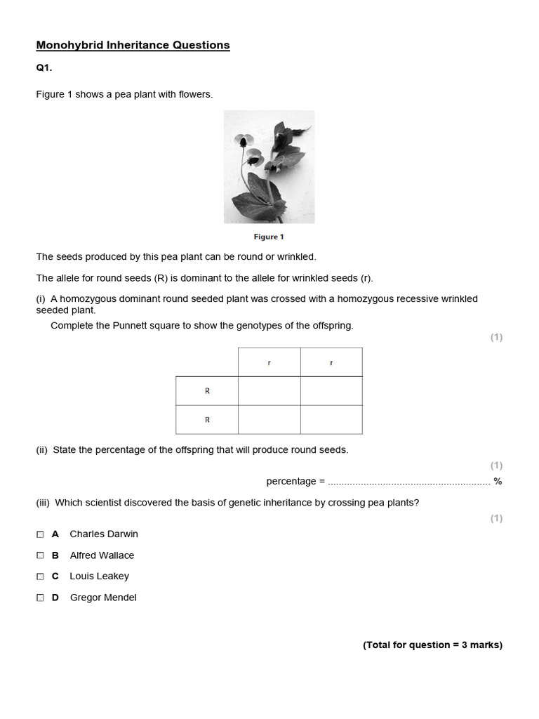 Monohybrid Inheritance | PDF | Dominance (Genetics) | Genotype