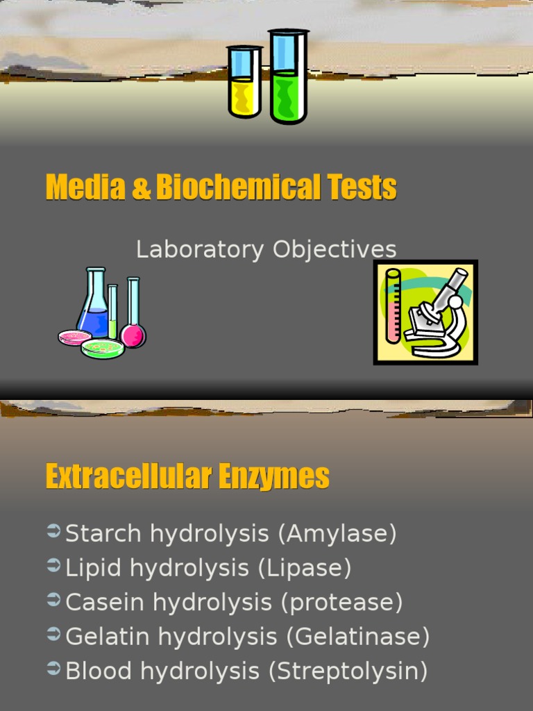 Biochemical Tests for Bacterial Identification | PDF | Staphylococcus ...