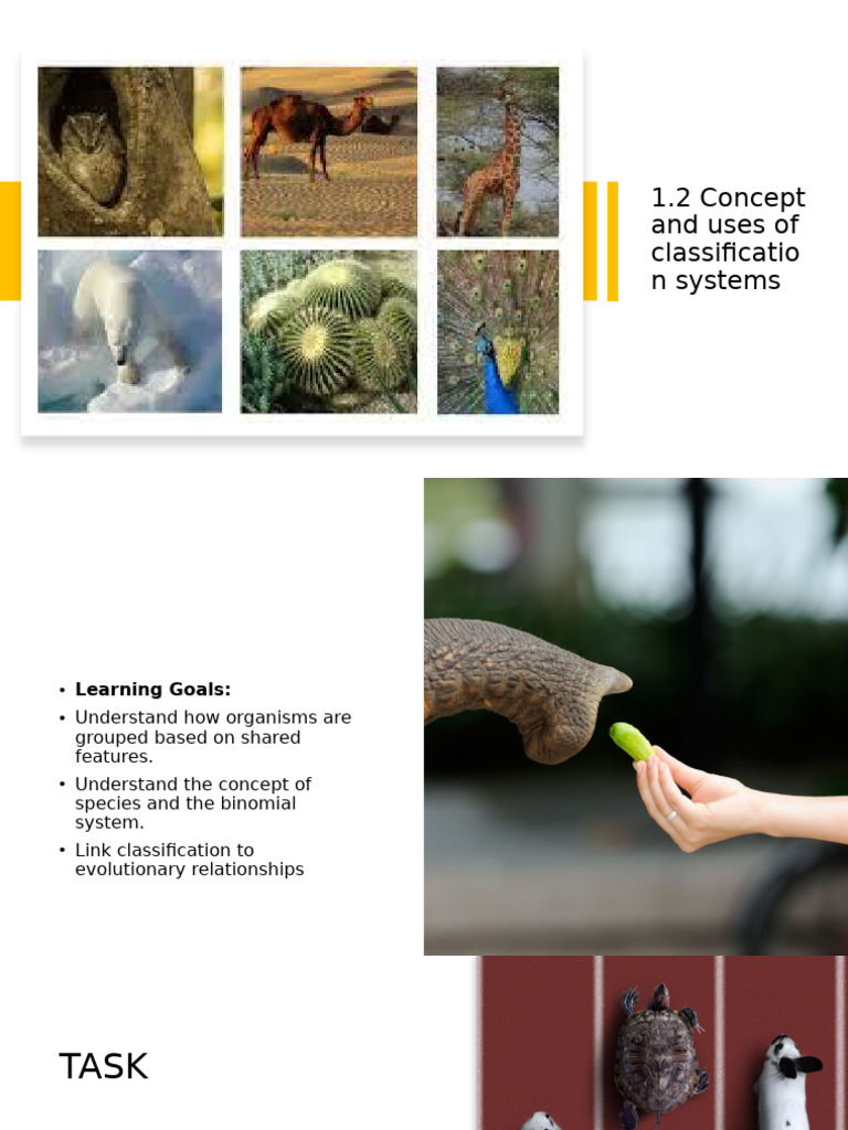 Classification Systems in Biology | PDF | Zoology | Biology