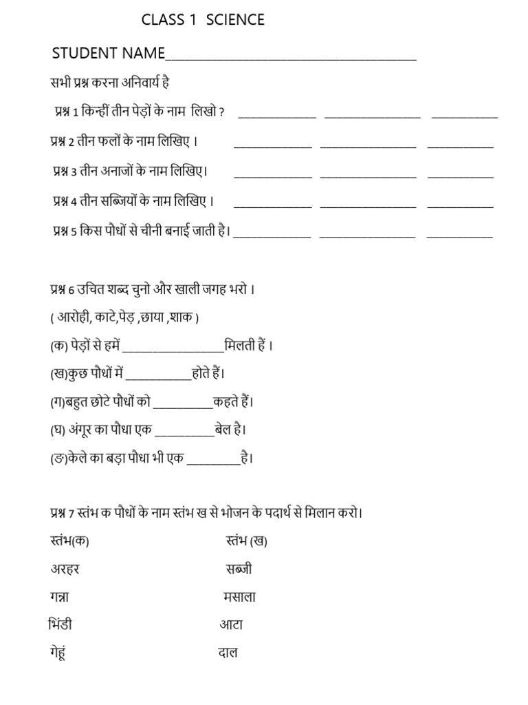 Class One Science | PDF