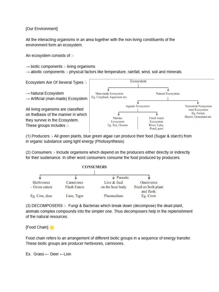 -Our Environment- | PDF | Ecosystem | Ozone Depletion