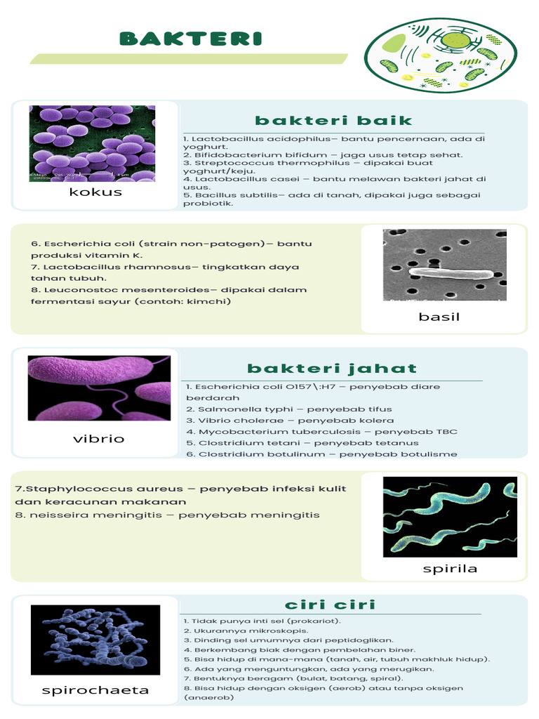 Types of Cells Infographic in Green White Blue Illustrative Style ...