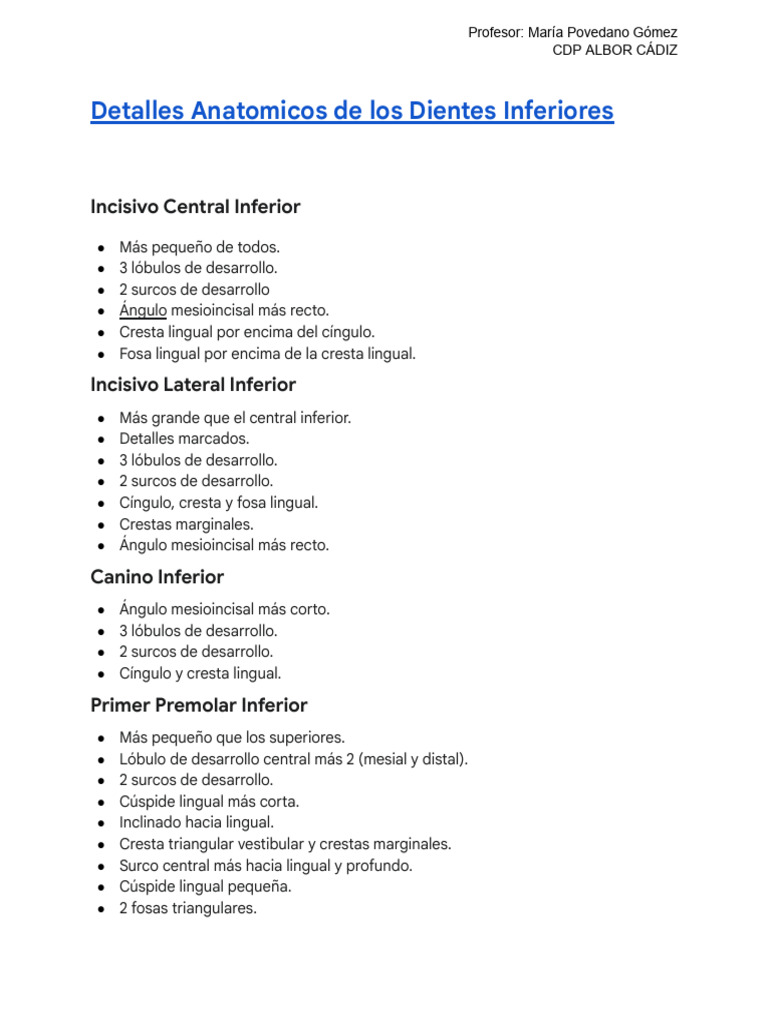 Anatomía de Los Dientes Inferiores | PDF