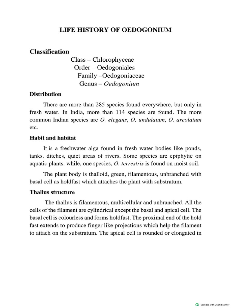 Oedogonium | PDF