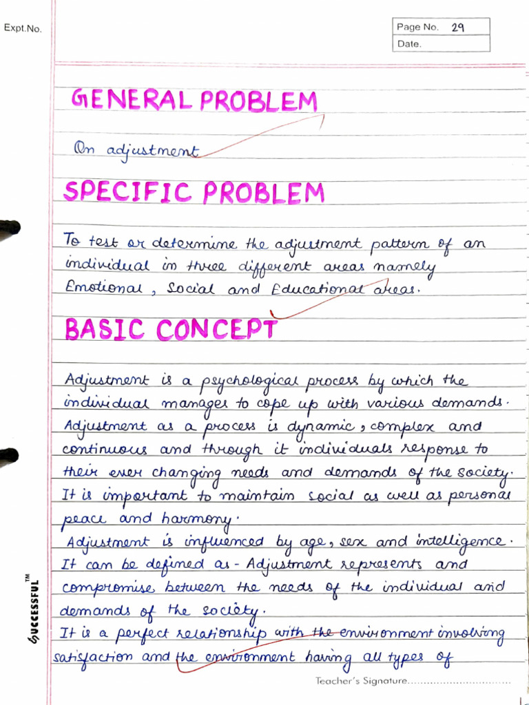 Adjustment AISS - Write Up | PDF