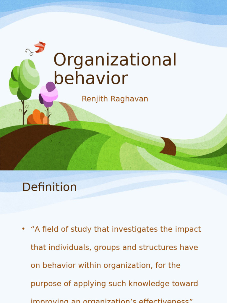 Understanding Organizational Behavior | PDF | Organizational Behavior ...