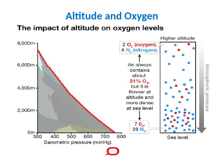 Altitude and Oxygen | PDF