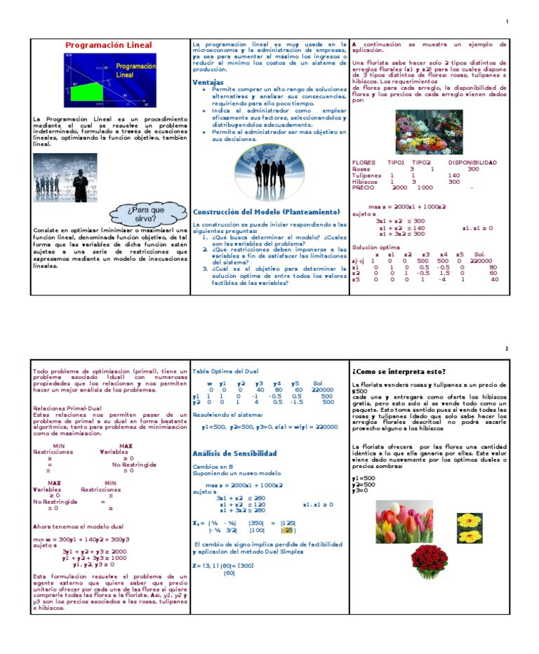 Tríptico | PDF | Programación lineal | Áreas de informática