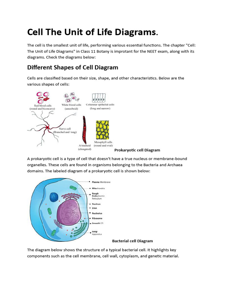 Cell Biology Diagrams for NEET Exam | PDF | Cell (Biology) | Cell Membrane