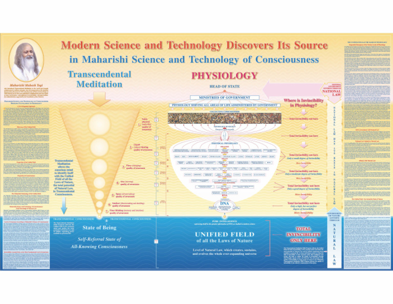 Physiology Unified Field Chart | PDF