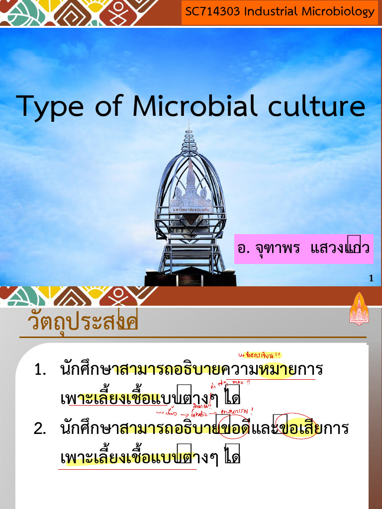 2.1 Type of Microbial Culture New | PDF